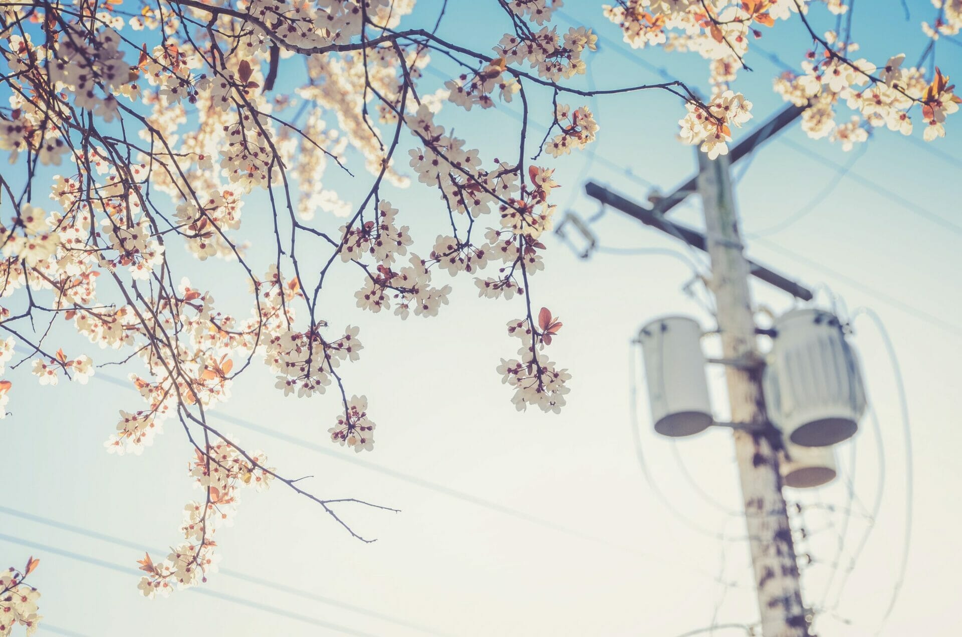 Power to Choose Elect Price | AEP Central Texas April 2021