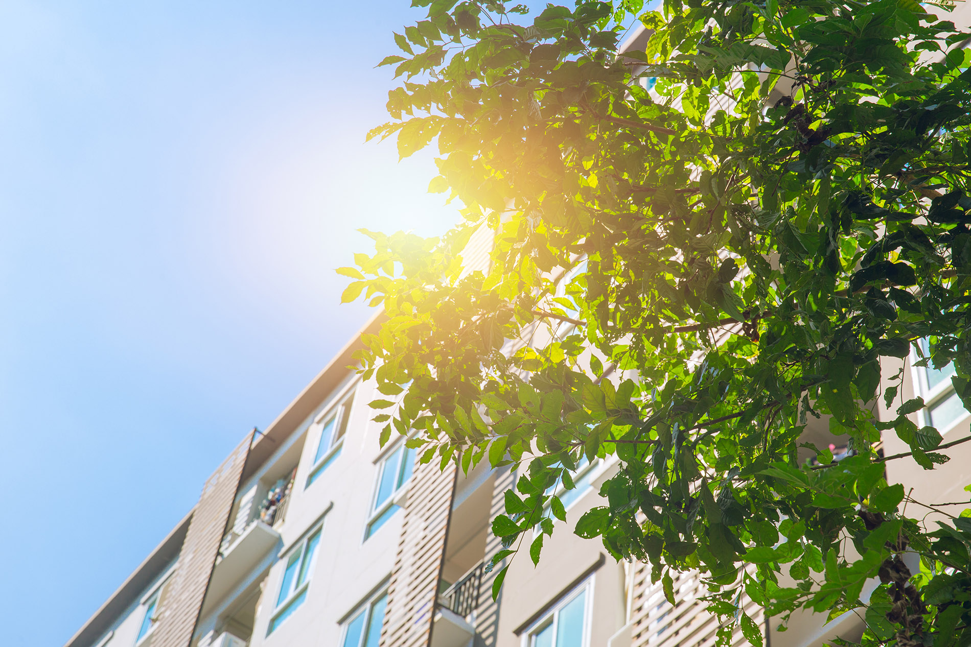 Apartment Renters Here s How To Lower Your Electric Bill